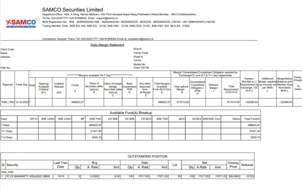 What is Margin Statement and how to read it?