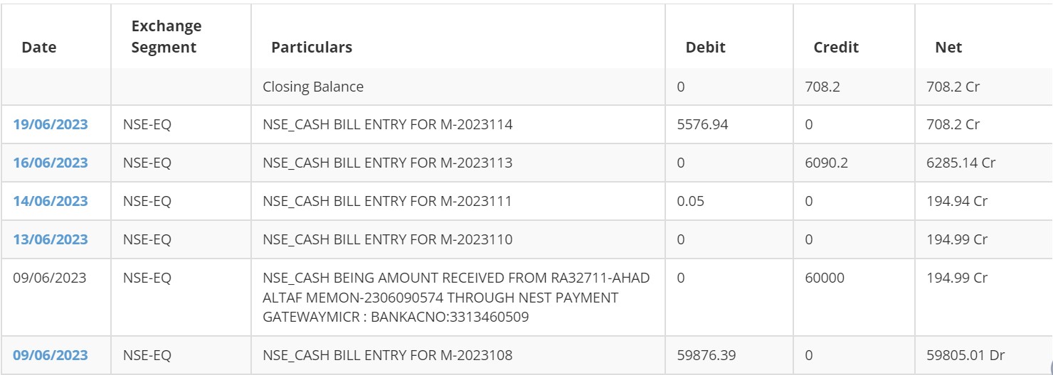 What is Monthly Ledger Statement and how to read it?