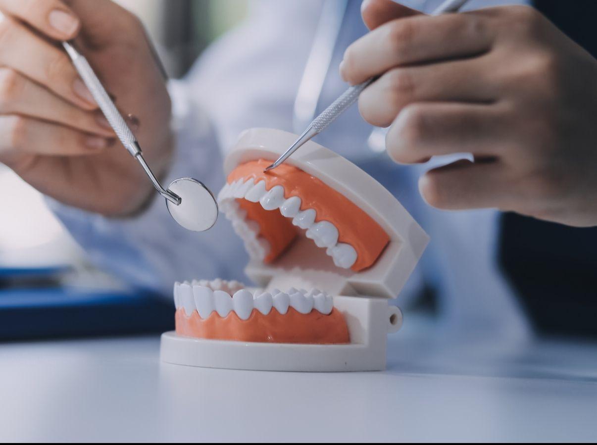 Laxmi Dental Shares Debut At ₹542, 26.64% Premium Over IPO Price